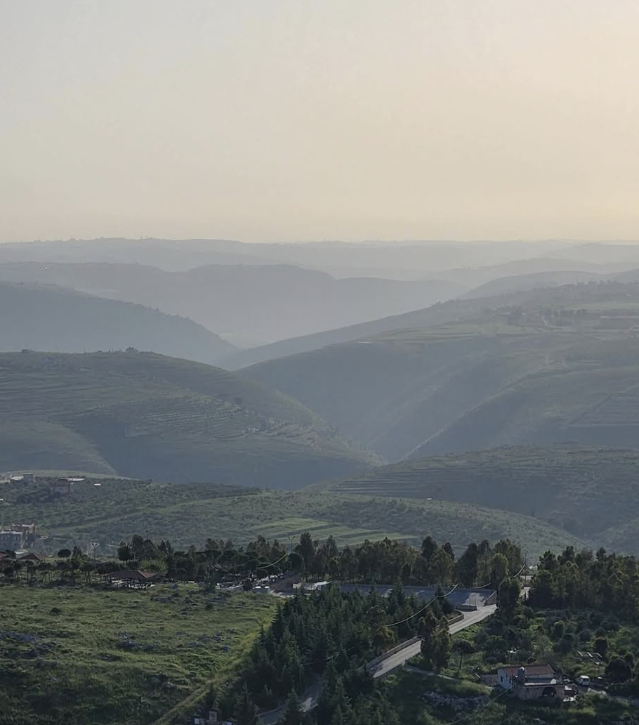 Art and Resilience in the Face of War: The Unbreakable Spirit of ...